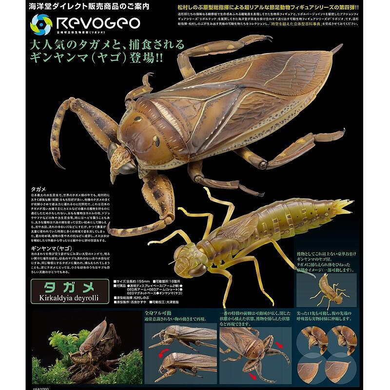 編號 pod0421 kaiyodo 170040 海洋 堂 山口 式 輪轉 revo geo vol 04 田鱉 kaiyodo 海洋 堂 出品 pvc 可